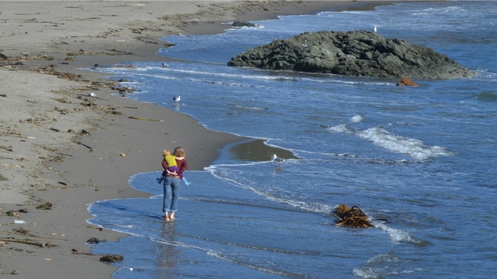 Why Study People’s Reactions to Change? - Oregon Marine Reserves