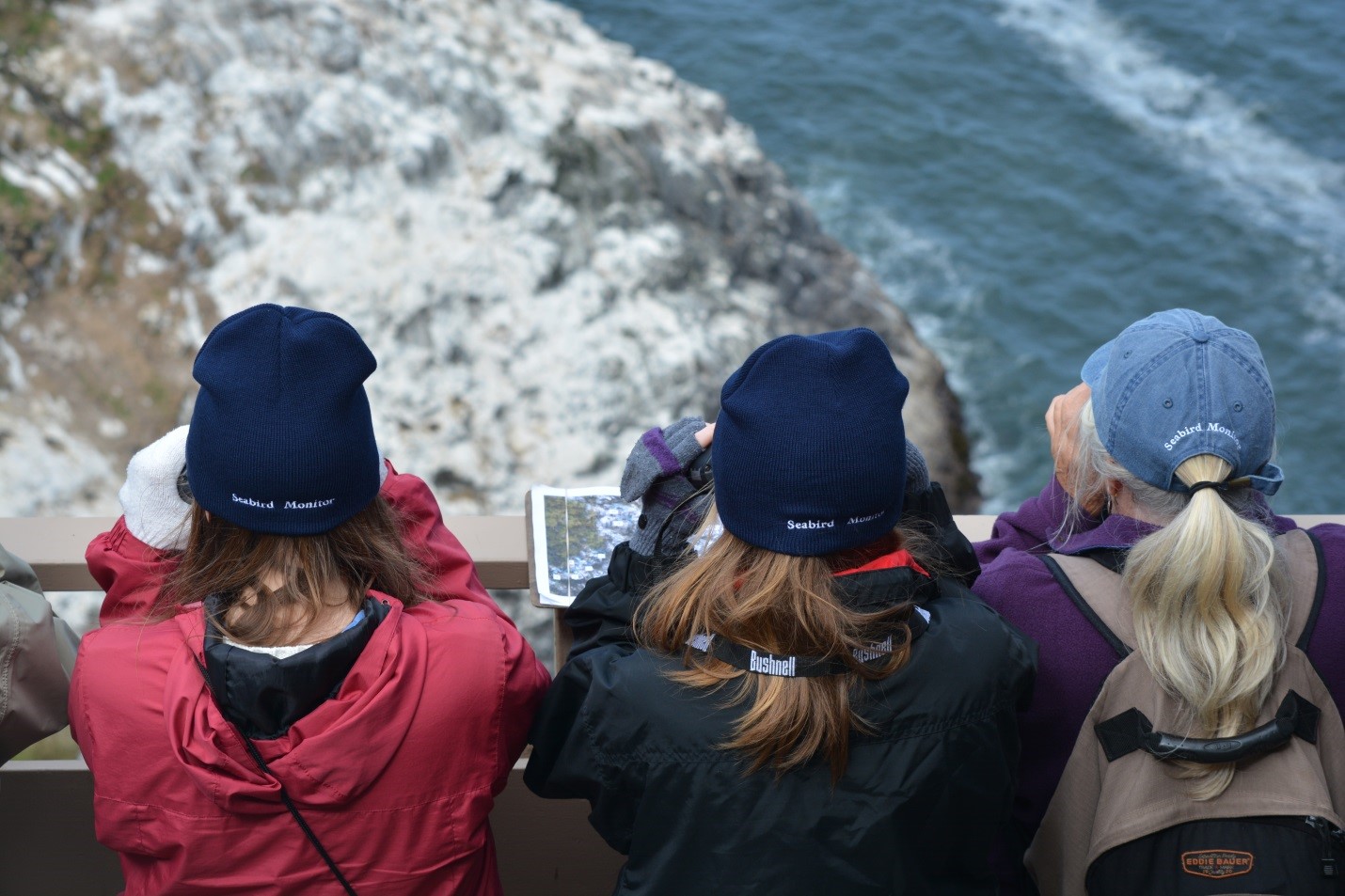 For the Birds: Diving Into Seabird Research - Oregon Marine Reserves