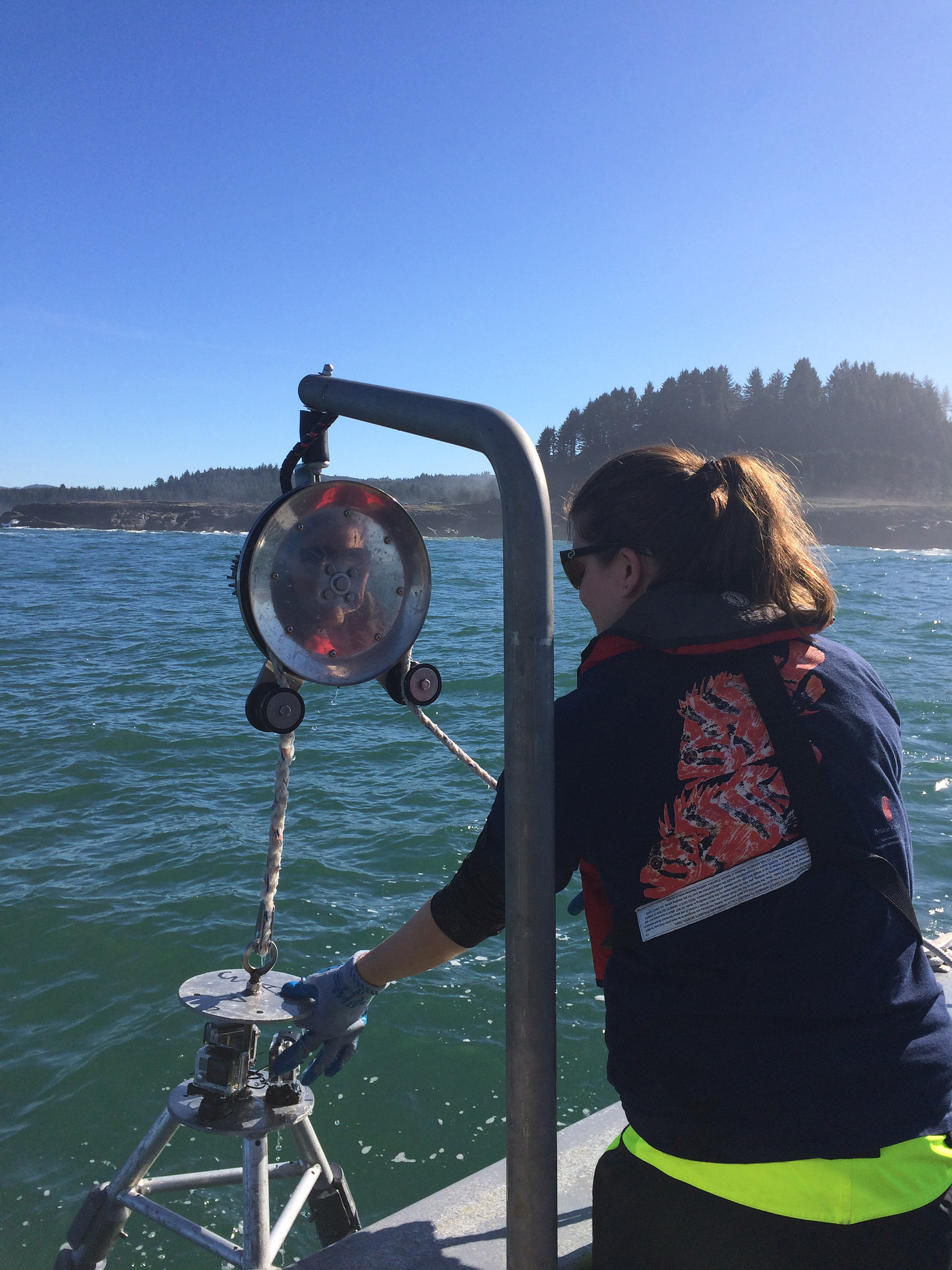 Life Through a Lens - Oregon Marine Reserves