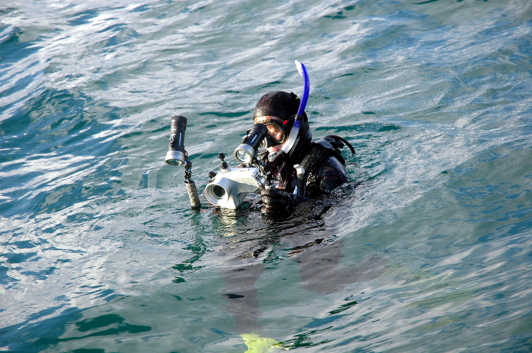 Life Through a Lens - Oregon Marine Reserves