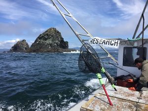 Updates on Spring Fieldwork - Oregon Marine Reserves