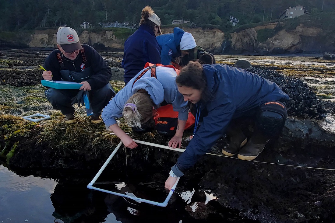 Reports from the Field - July - Oregon Marine Reserves