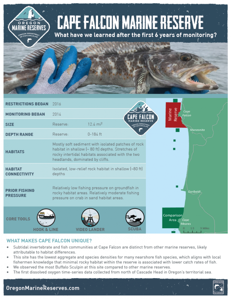 Cape Falcon Marine Reserve Highlights - Oregon Marine Reserves