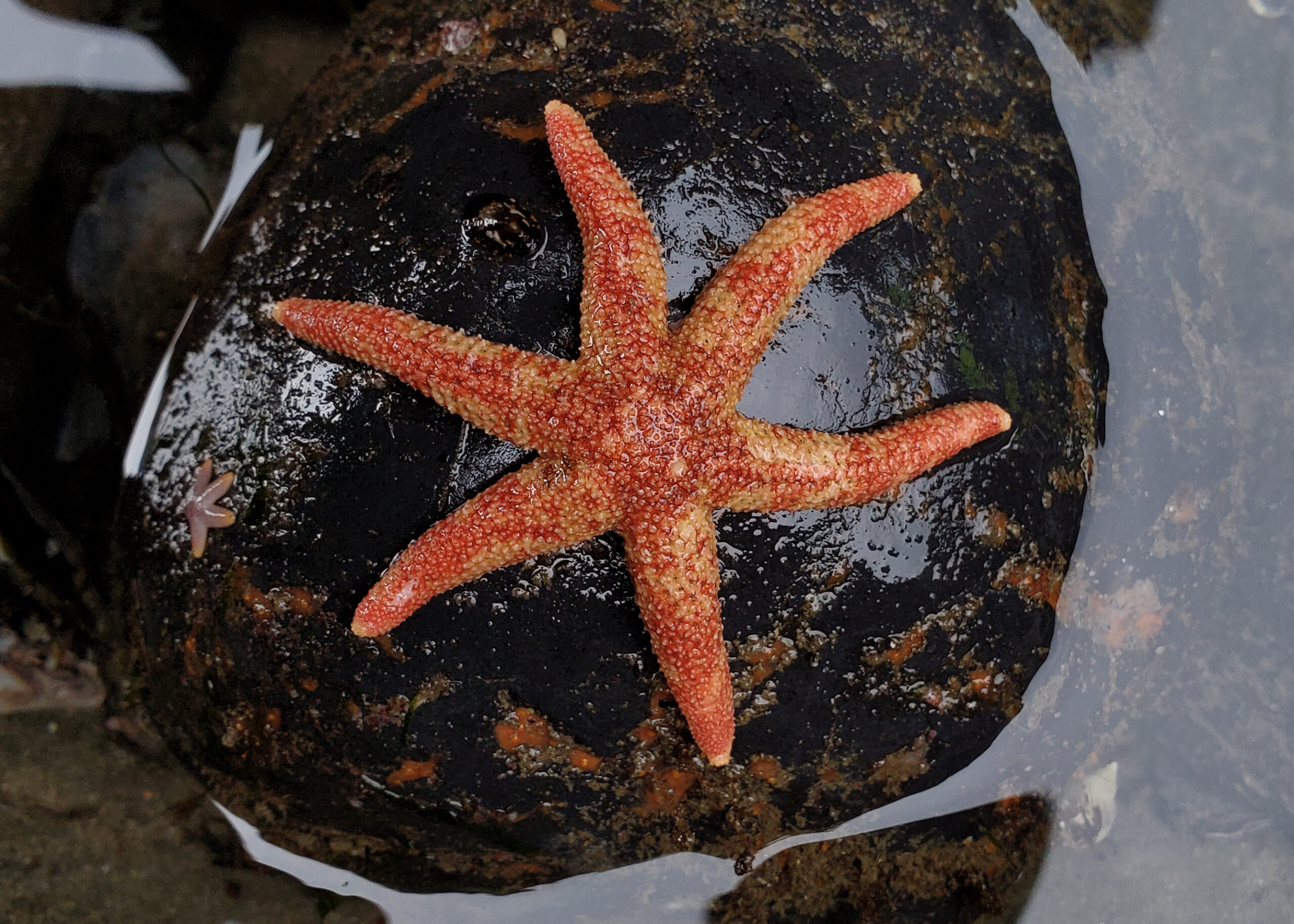 Resource Library 2.0 - Oregon Marine Reserves