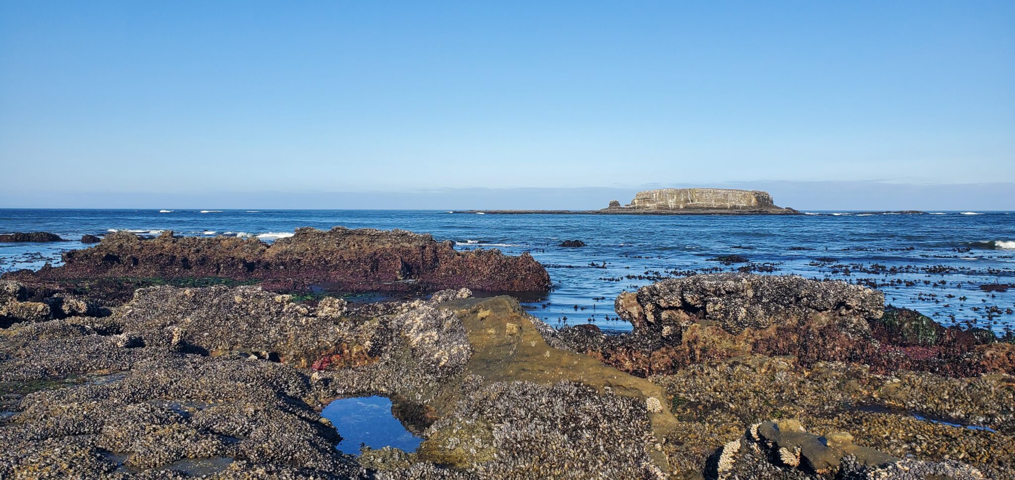 Do Marine Reserves Make People Happy? - Oregon Marine Reserves