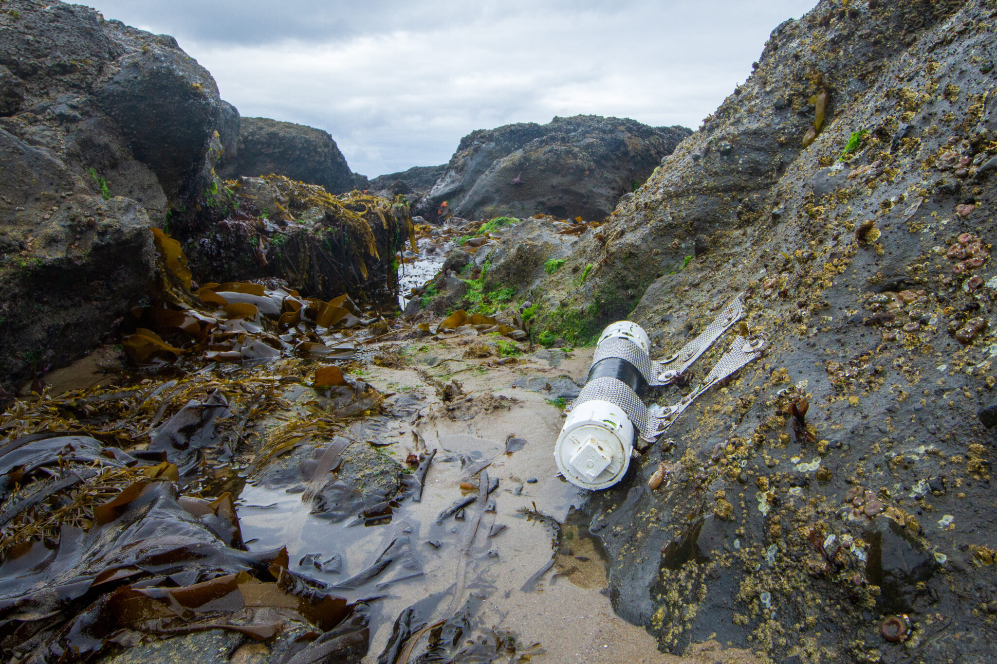 Unlocking Ocean Secrets About Oxygen and Temperature Levels - Oregon ...
