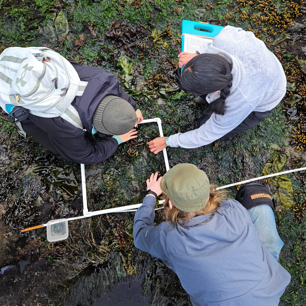 Volunteer Opportunities - Oregon Marine Reserves